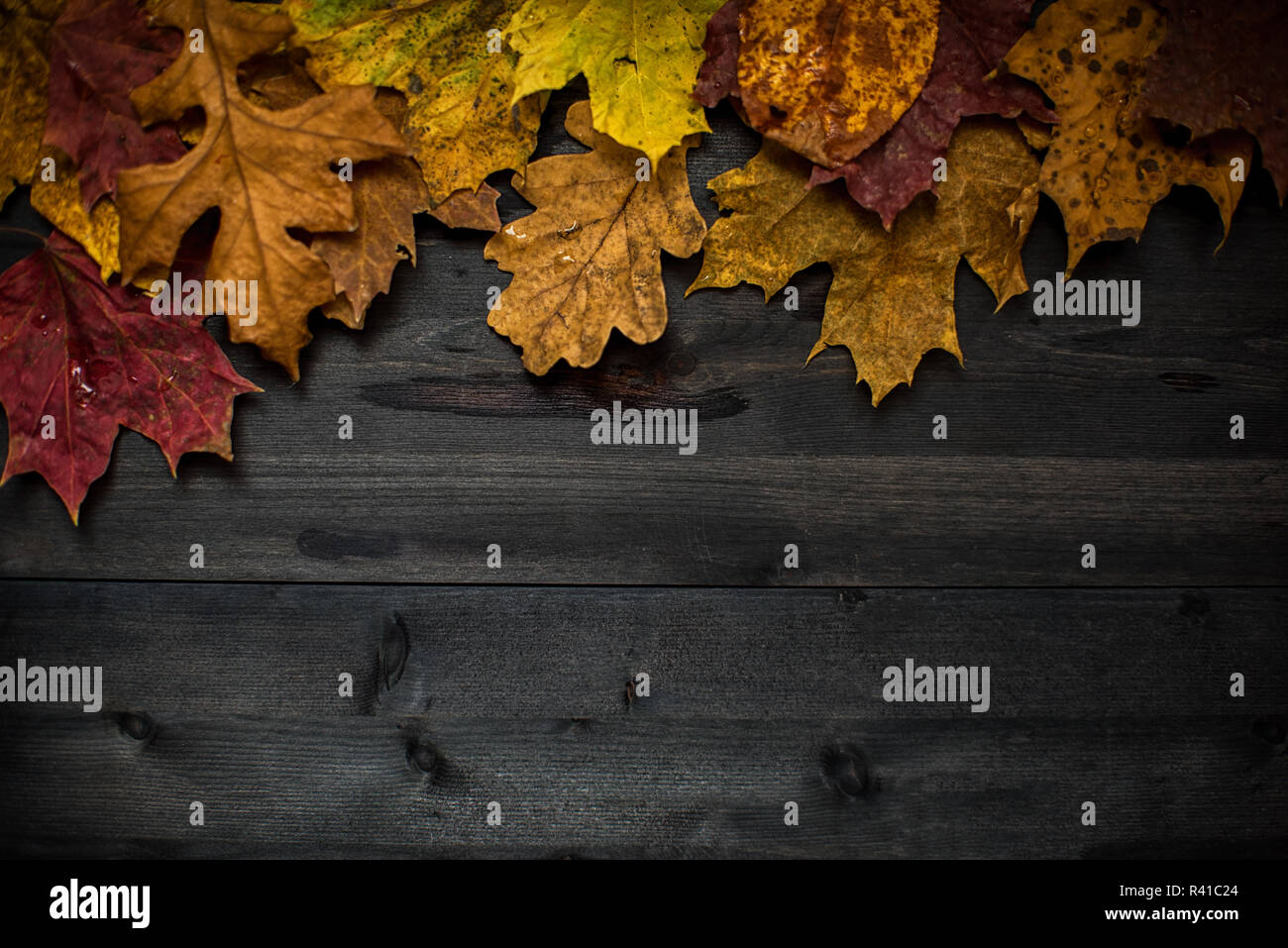 Wood autumn background Stock Photo - Alamy