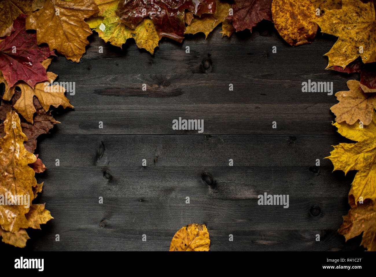 Wood autumn background Stock Photo - Alamy