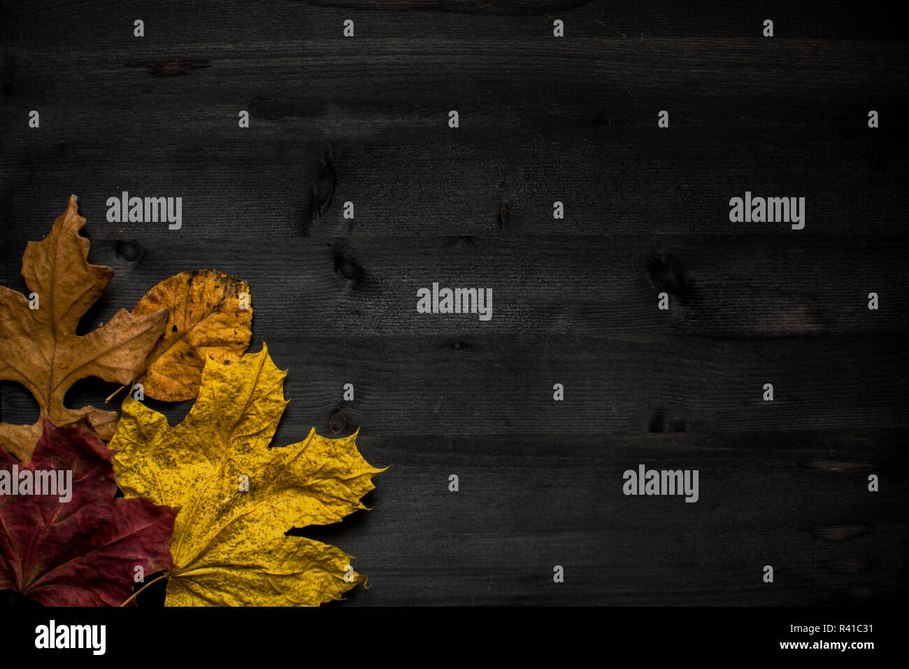 Wood autumn background Stock Photo - Alamy
