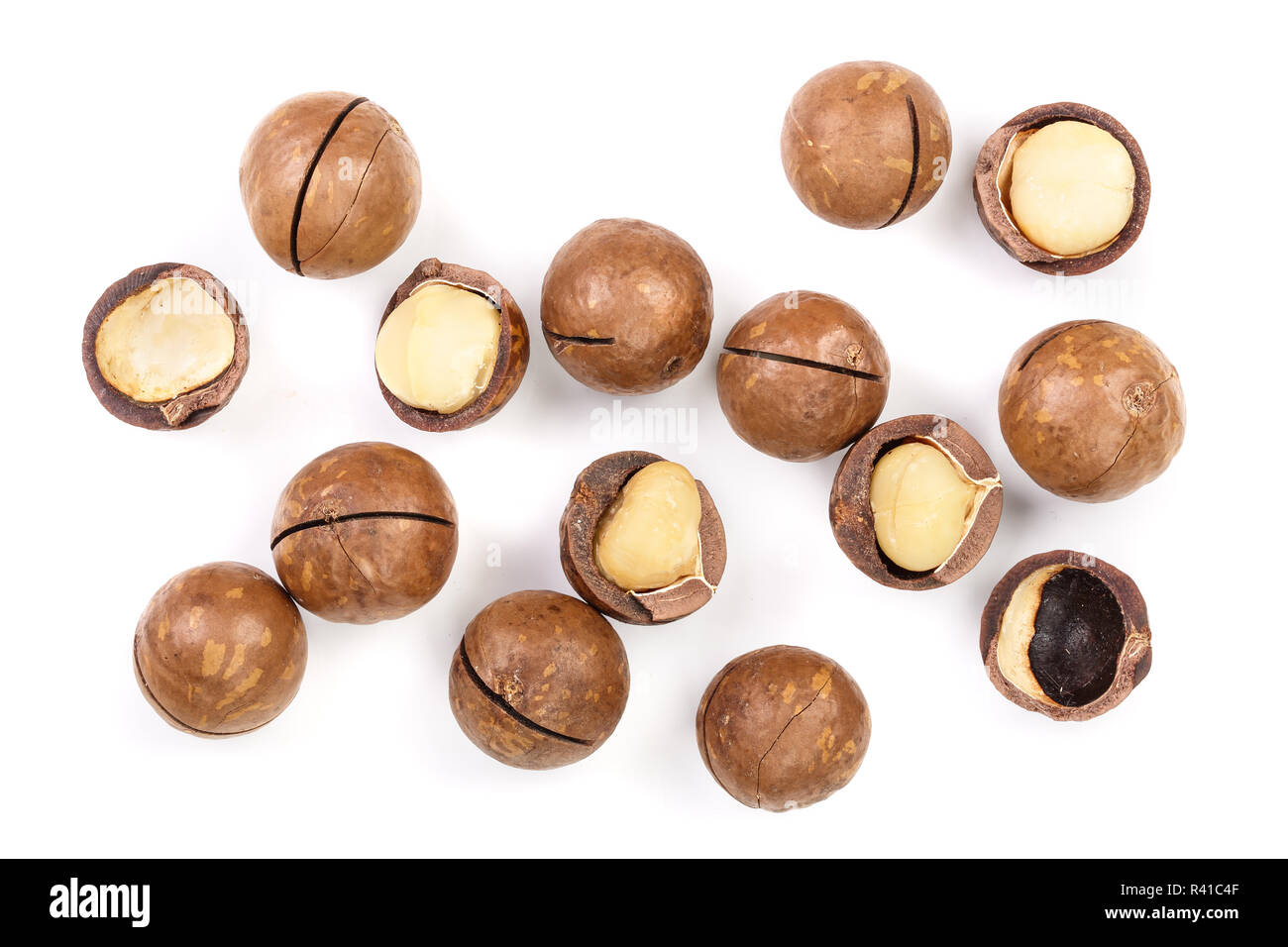 Shelled and unshelled macadamia nuts isolated on white background. Top ...
