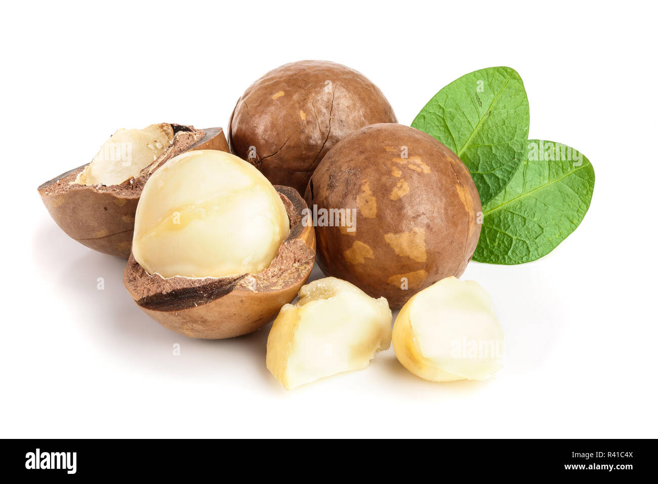 Shelled and unshelled macadamia nuts with leaves isolated on white ...