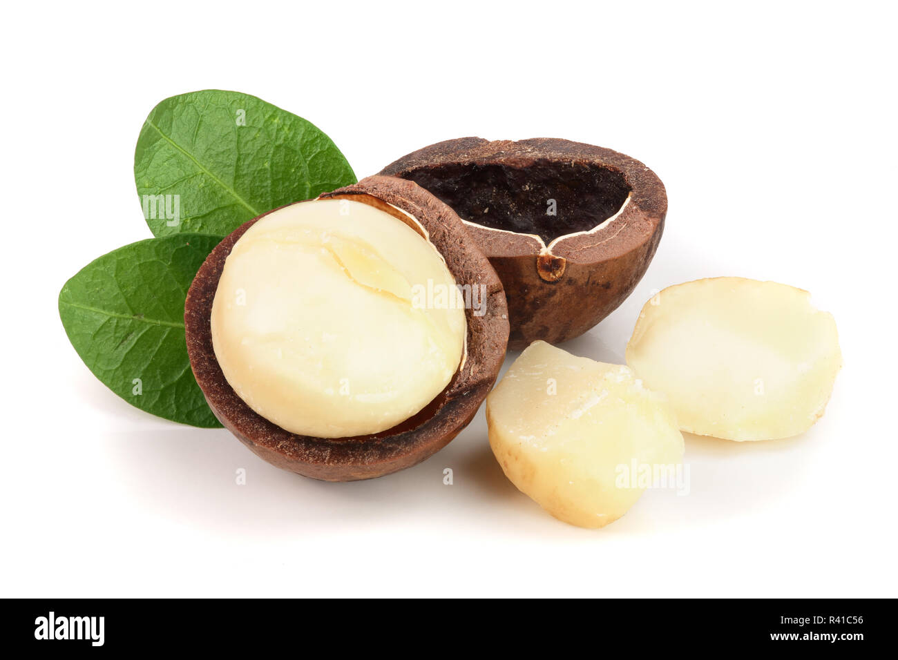 Shelled macadamia nuts with leaves isolated on white background Stock ...