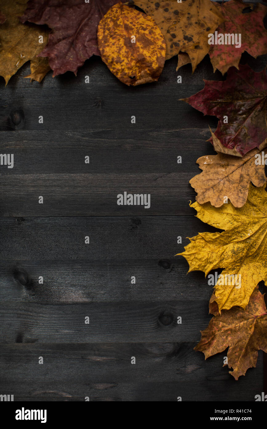 Wood autumn background Stock Photo - Alamy