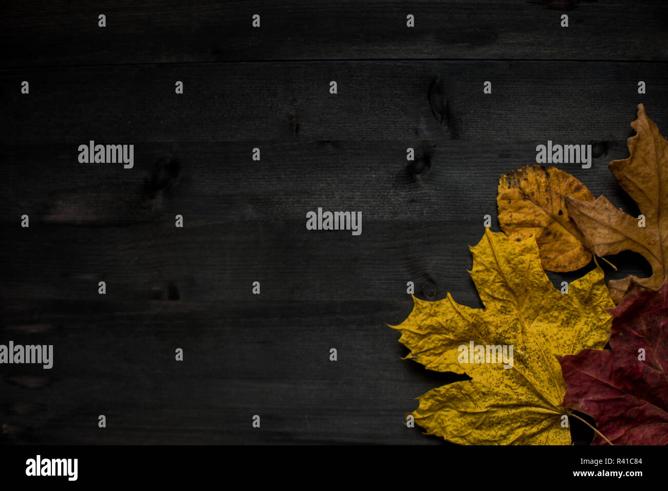 Wood autumn background Stock Photo - Alamy