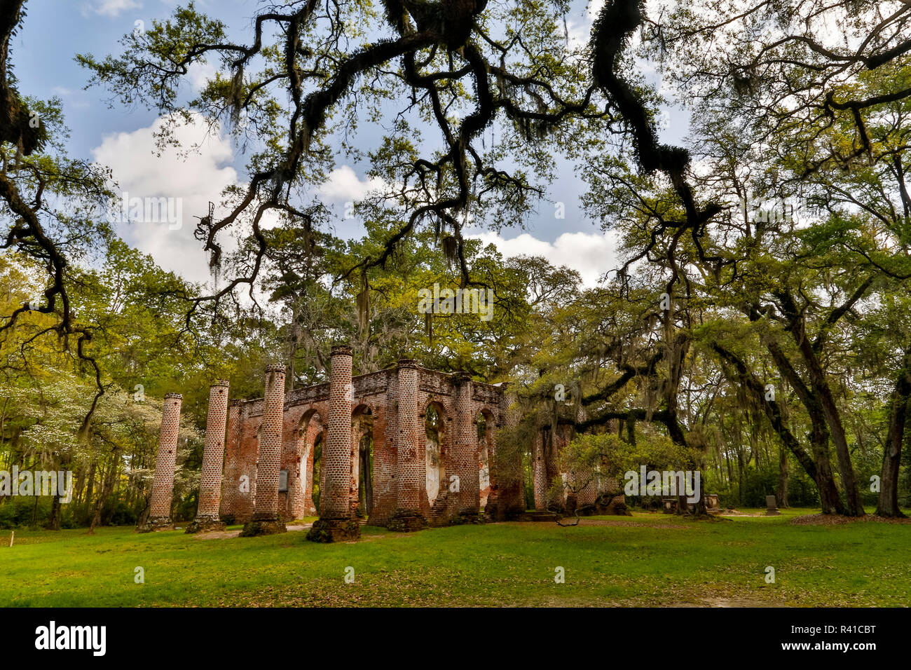 Ruins of Old Sheldon Church, South Carolina Stock Photo - Alamy