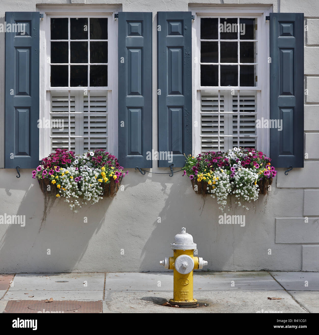 USA, North Carolina, Charleston. Windows with flower boxes Stock Photo ...