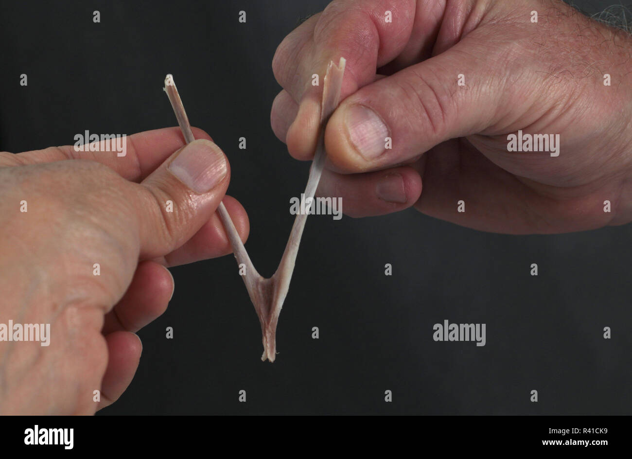Chicken wishbone hi-res stock photography and images - Alamy