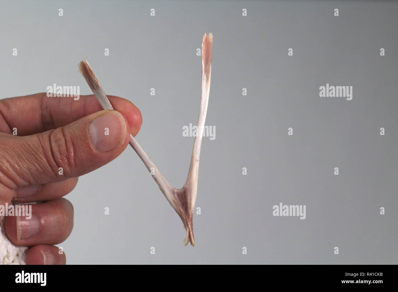 Hands holding a wishbone Stock Photo - Alamy