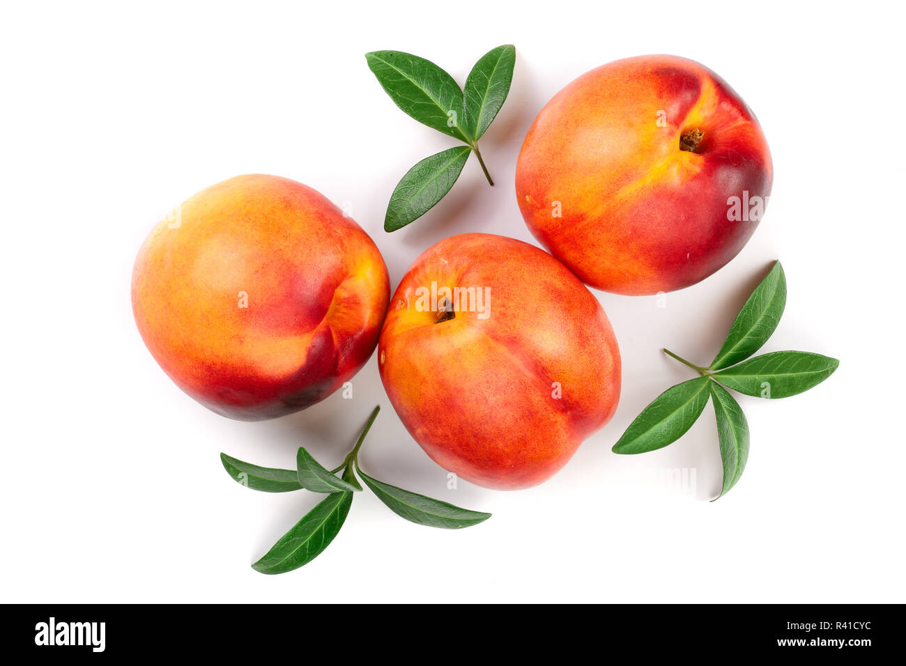 ripe nectarine with leaves isolated on white background. Top view. Flat ...