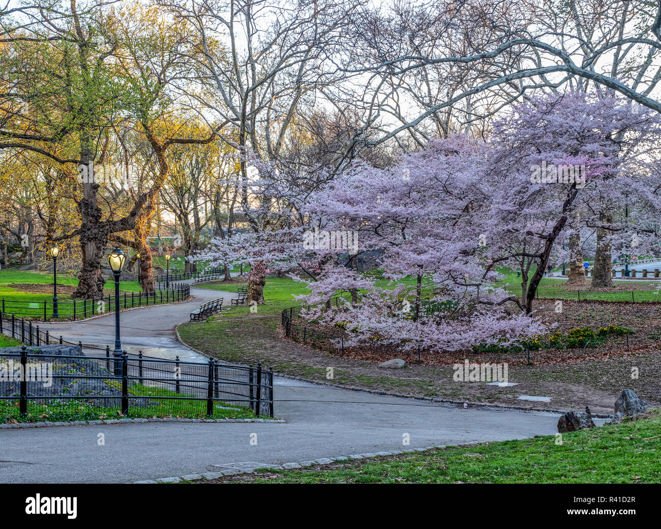 Central Park, Manhattan, New York City in spring Stock Photo - Alamy