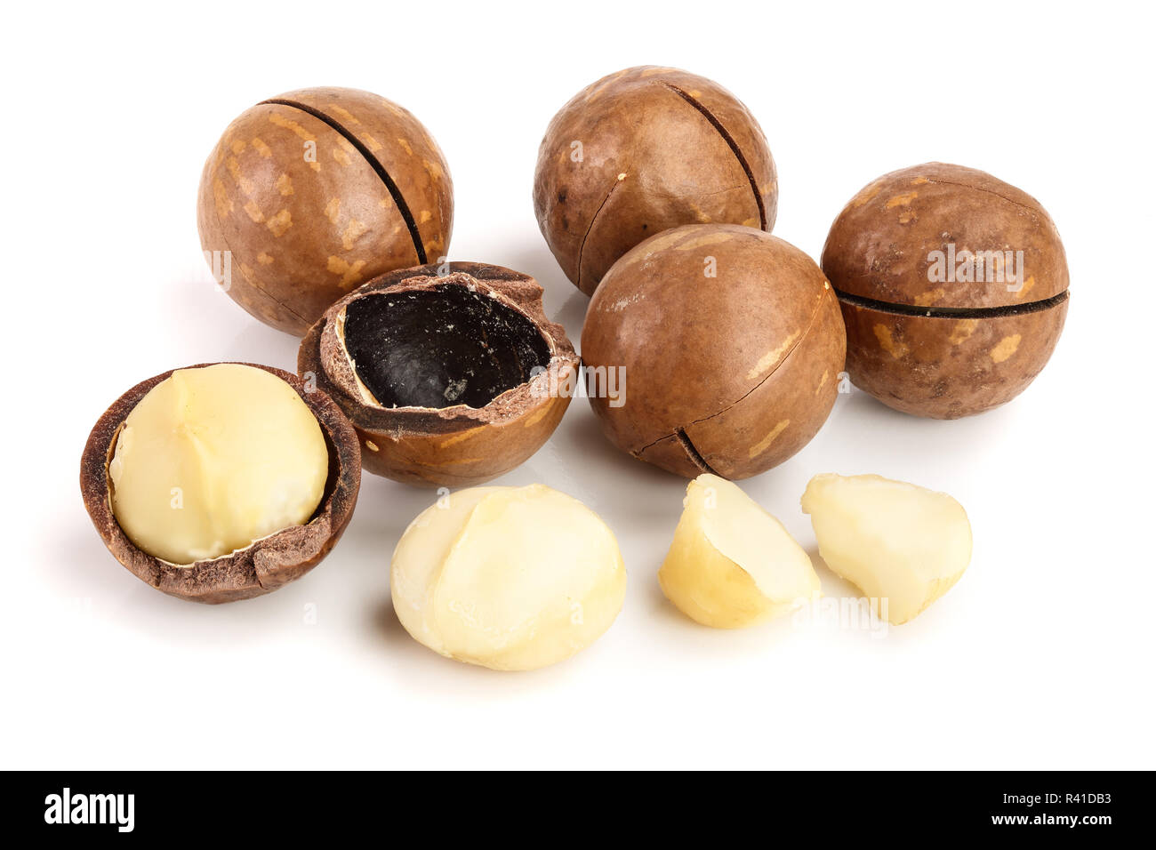 Shelled and unshelled macadamia nuts isolated on white background Stock ...