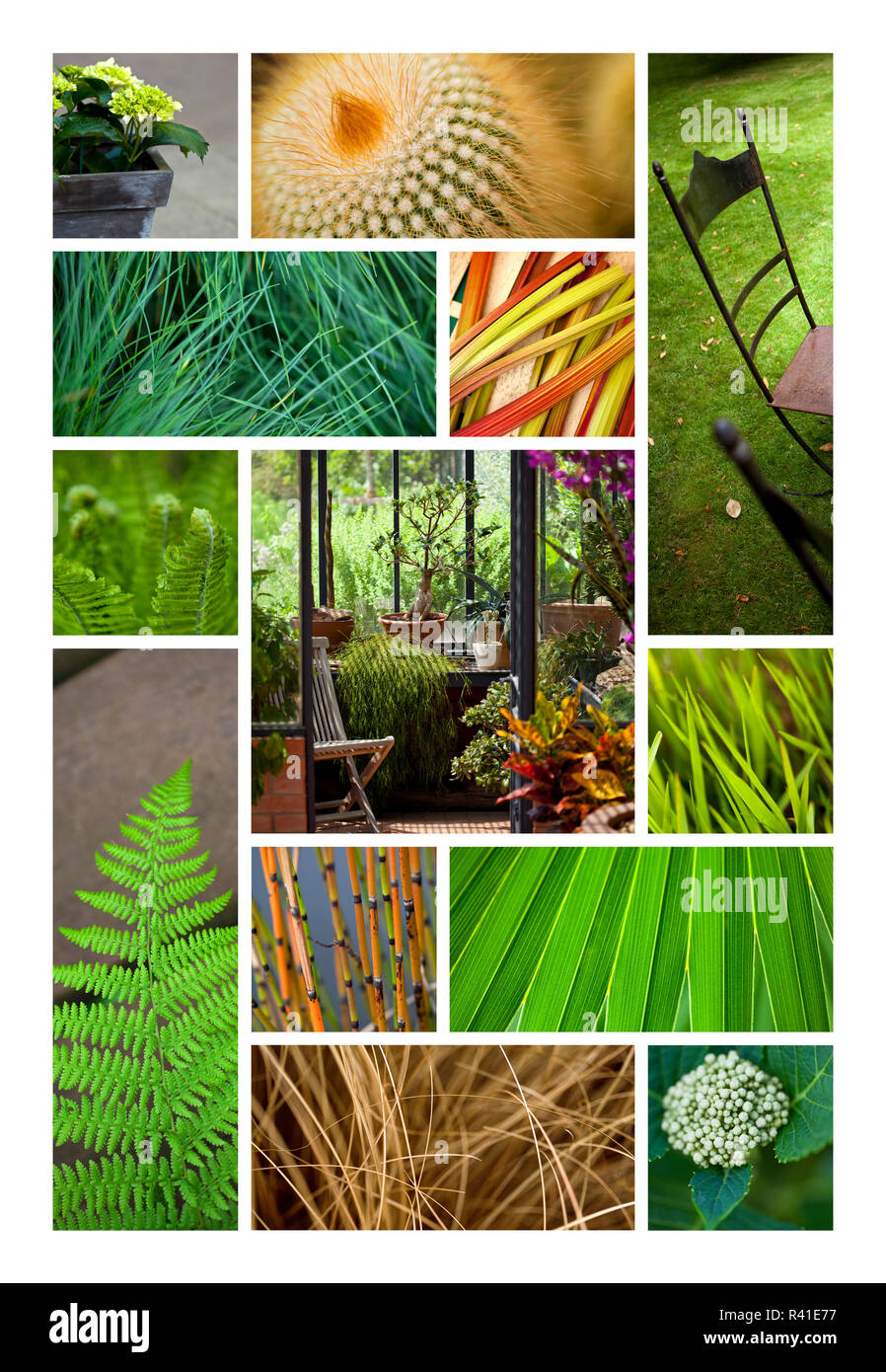 Plants and gardens Stock Photo - Alamy