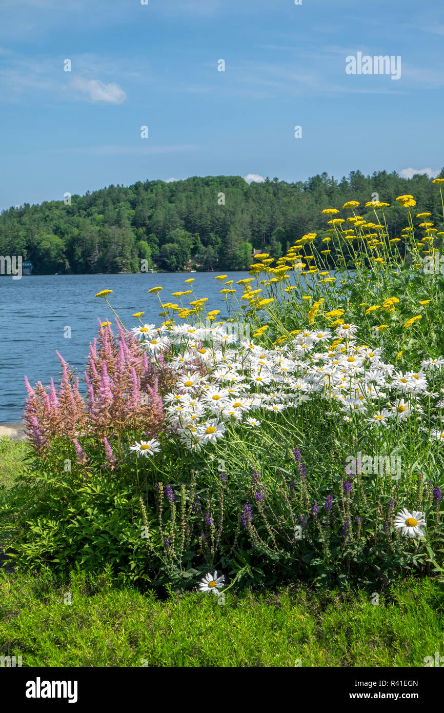Garden along Echo Lake, Ludlow, Vermont, USA Stock Photo - Alamy
