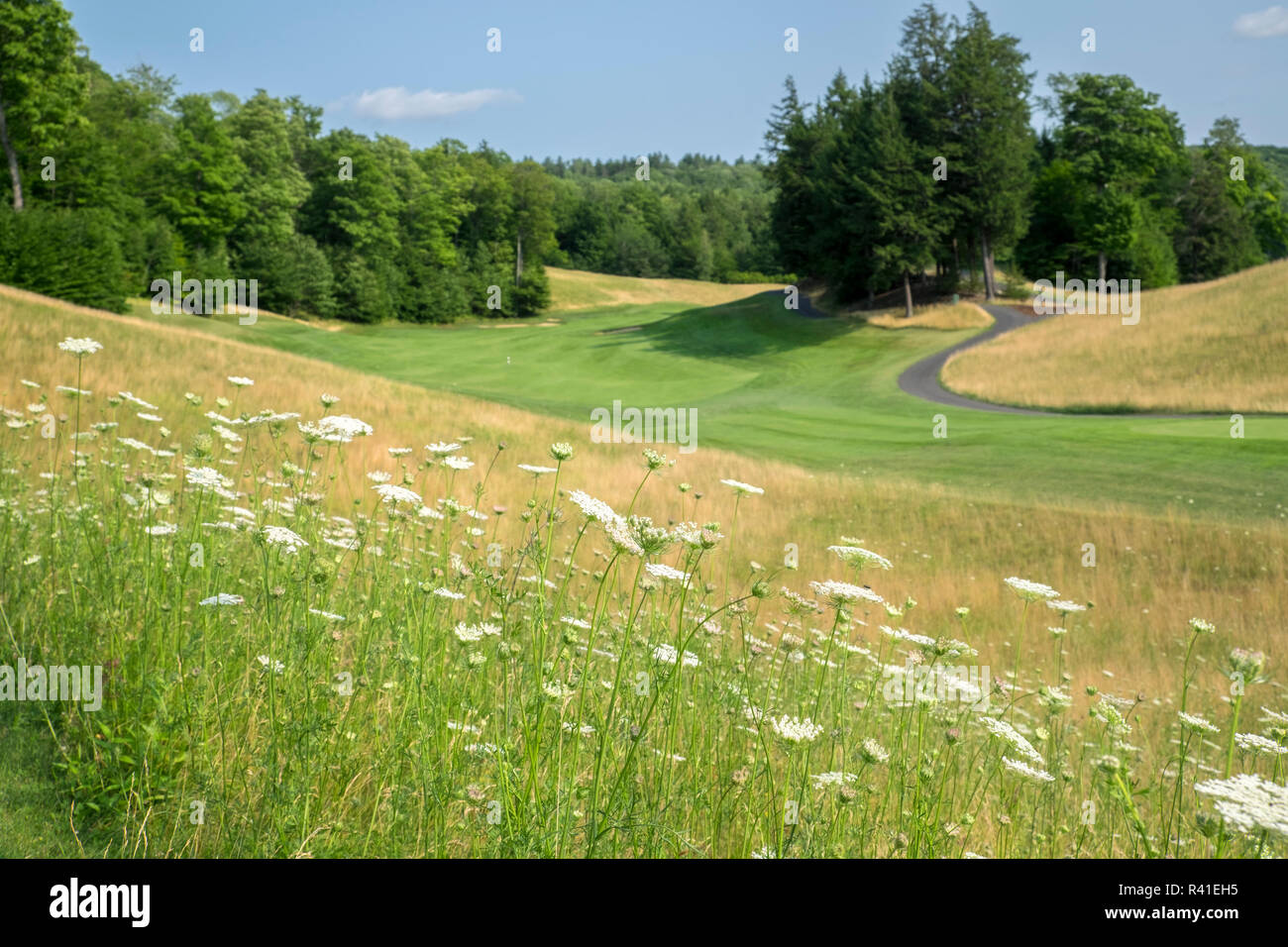 Vermont golf hi-res stock photography and images - Alamy