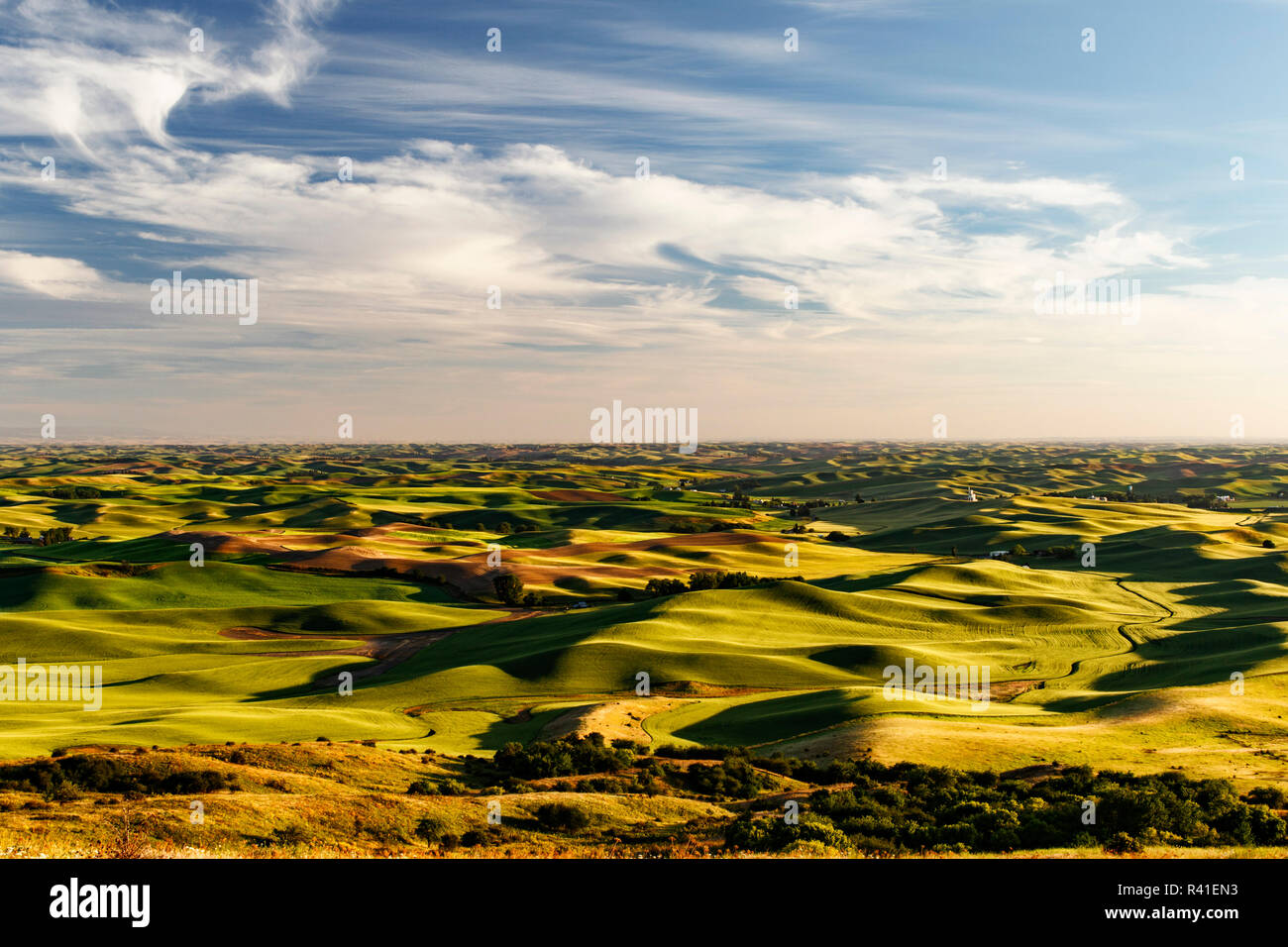 Expansive view of Palouse farming region of Eastern Washington State ...