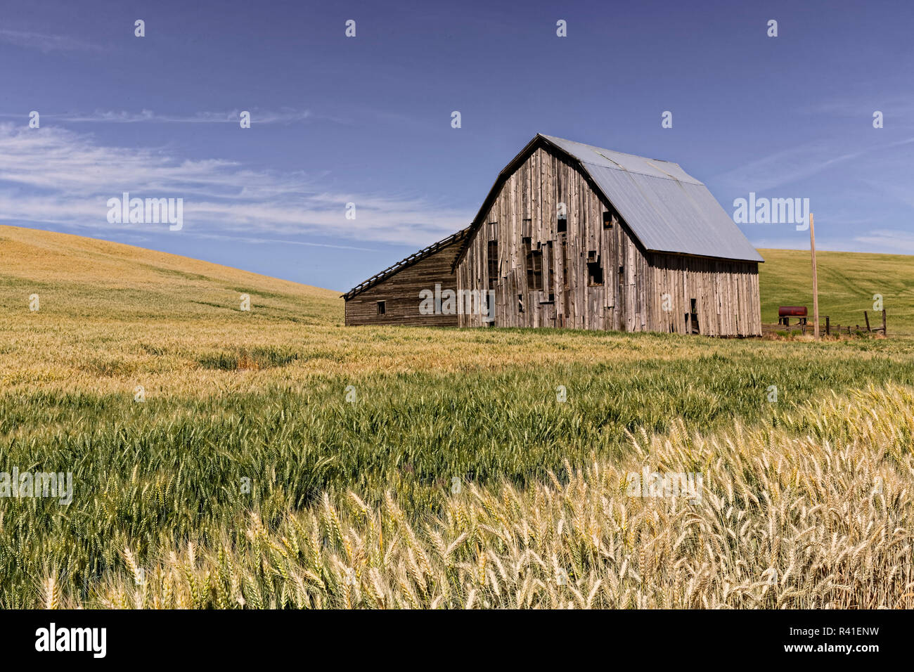 Wheat fields and barn, Palouse farming region of Eastern Washington ...