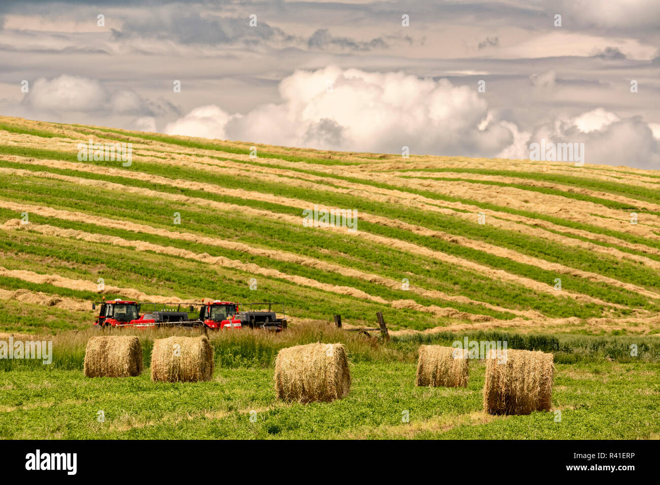 Hay bales and clouds, Palouse region of Eastern Washington State Stock ...