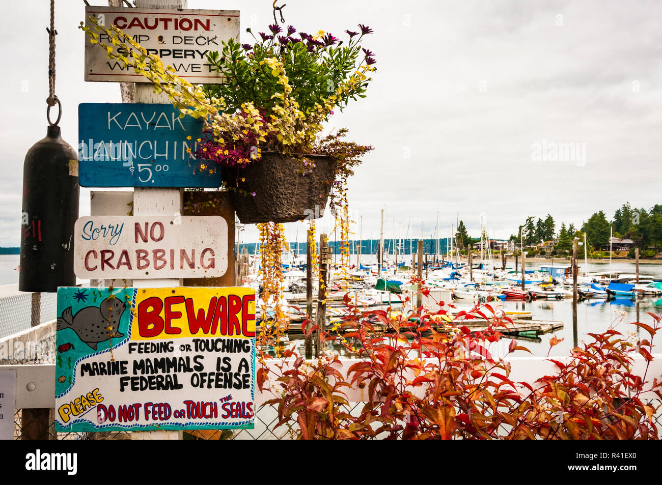 Boston basin hi-res stock photography and images - Alamy