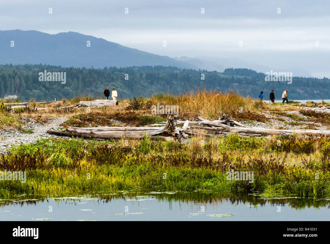 Elwha river hi-res stock photography and images - Alamy