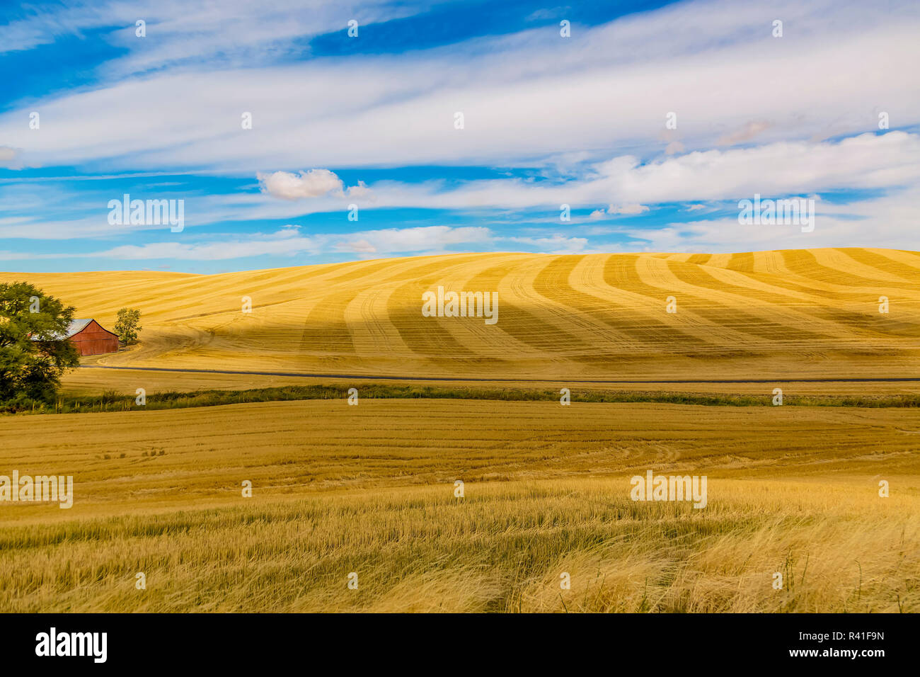 Pullman usa hi-res stock photography and images - Alamy