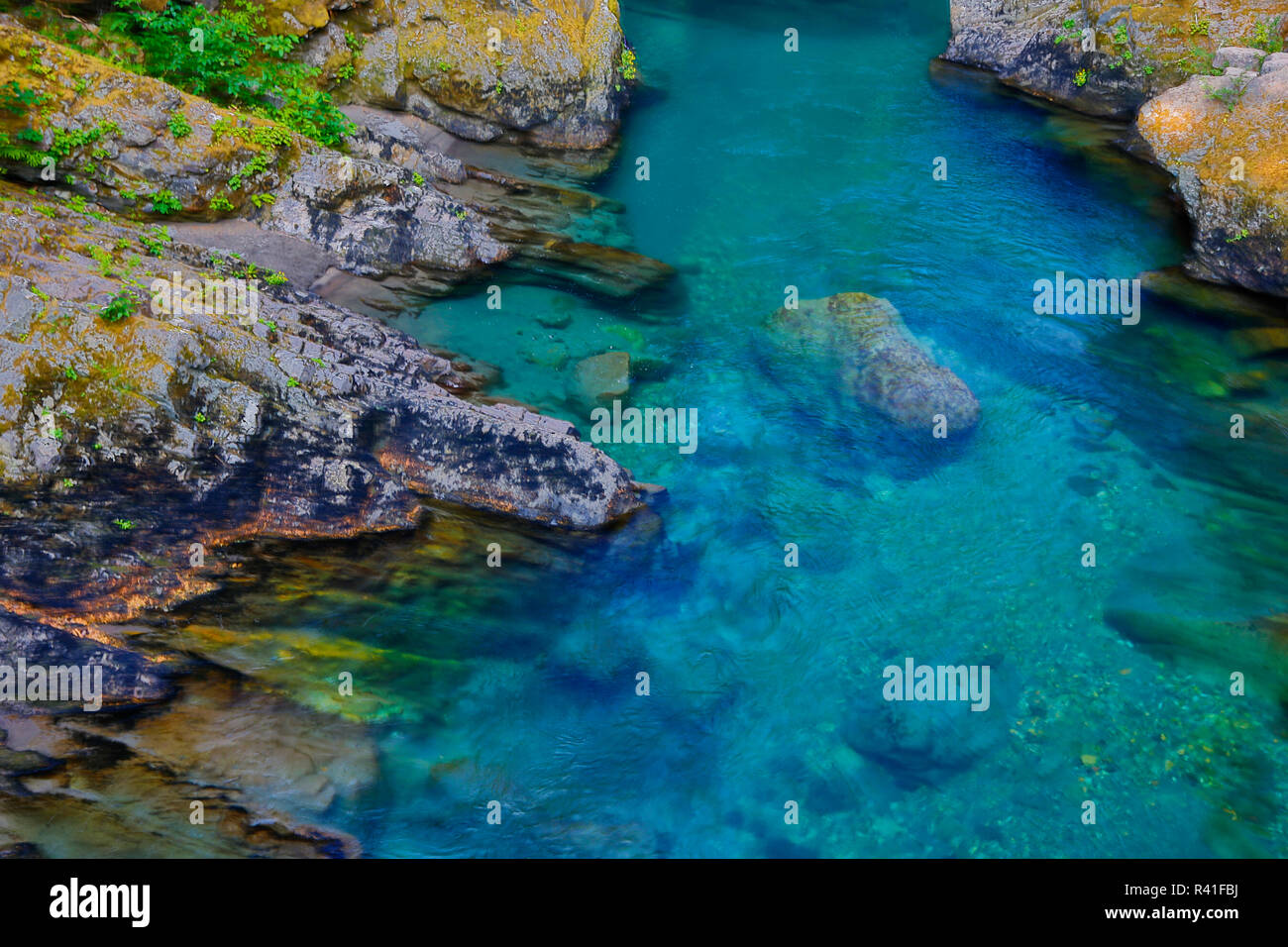 USA, Washington State, Mount Rainier National Park. Pool in Ohanapecosh ...