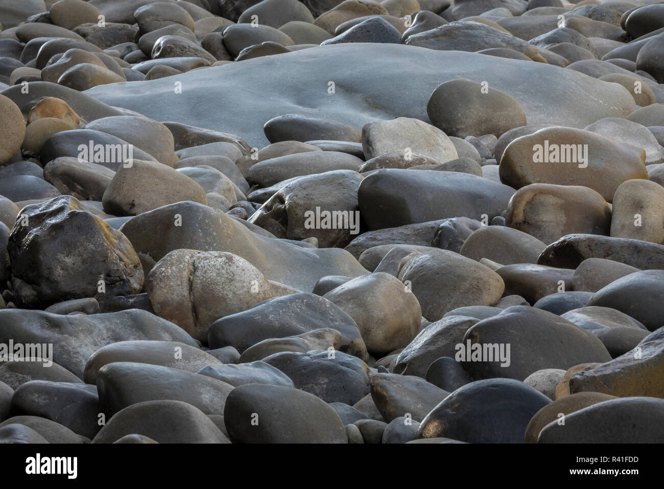 USA, Washington State, Olympic National Park. Queets River rocks out of ...