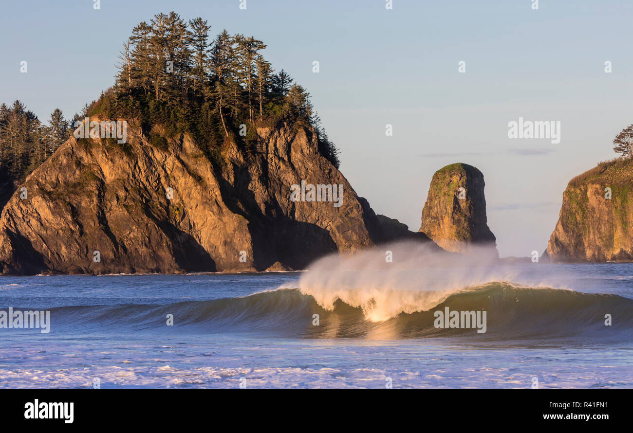 Sea stacks and waves at first light on Rialto Beach in Olympic National ...