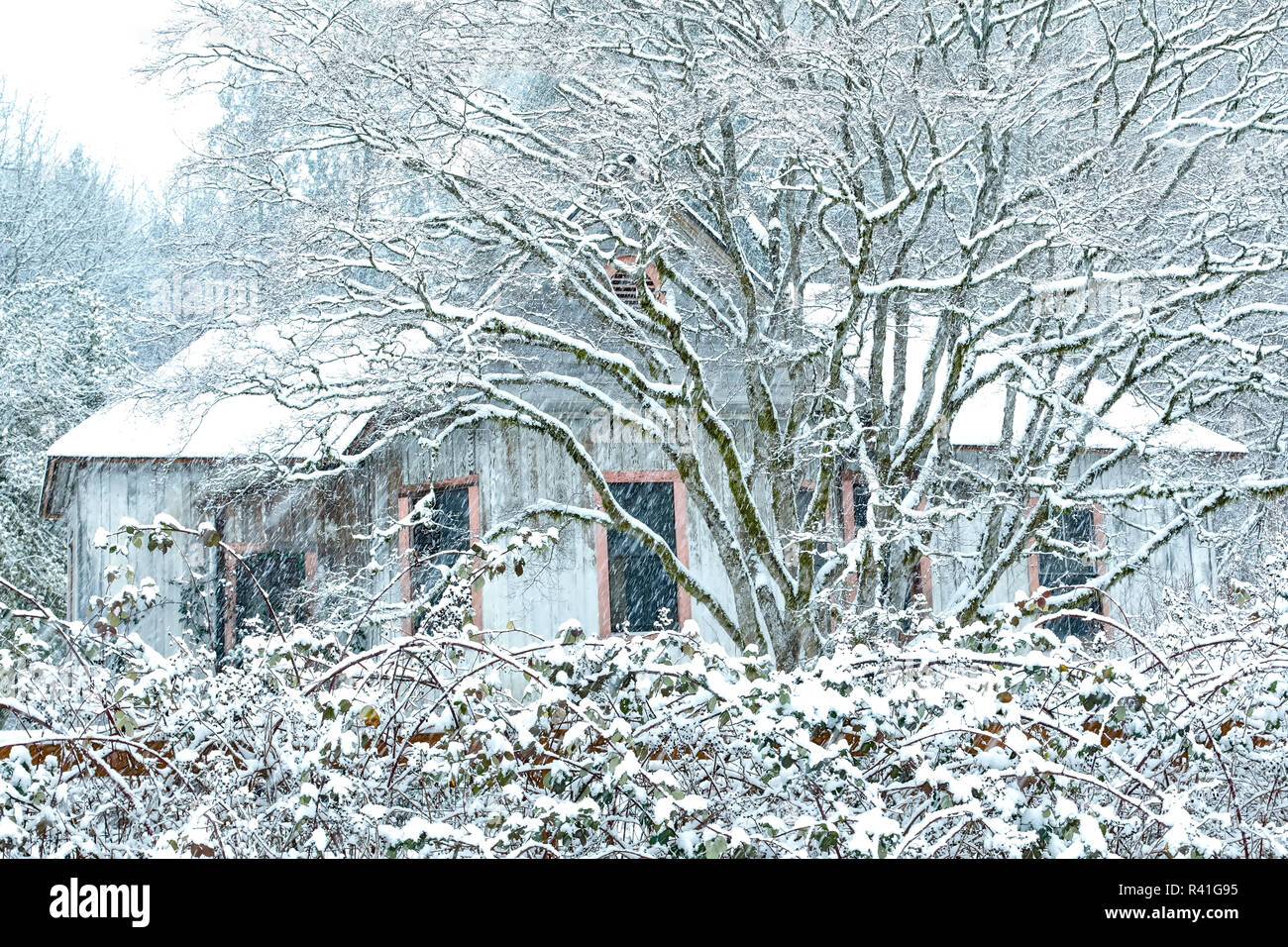 Old abandoned home hi-res stock photography and images - Alamy