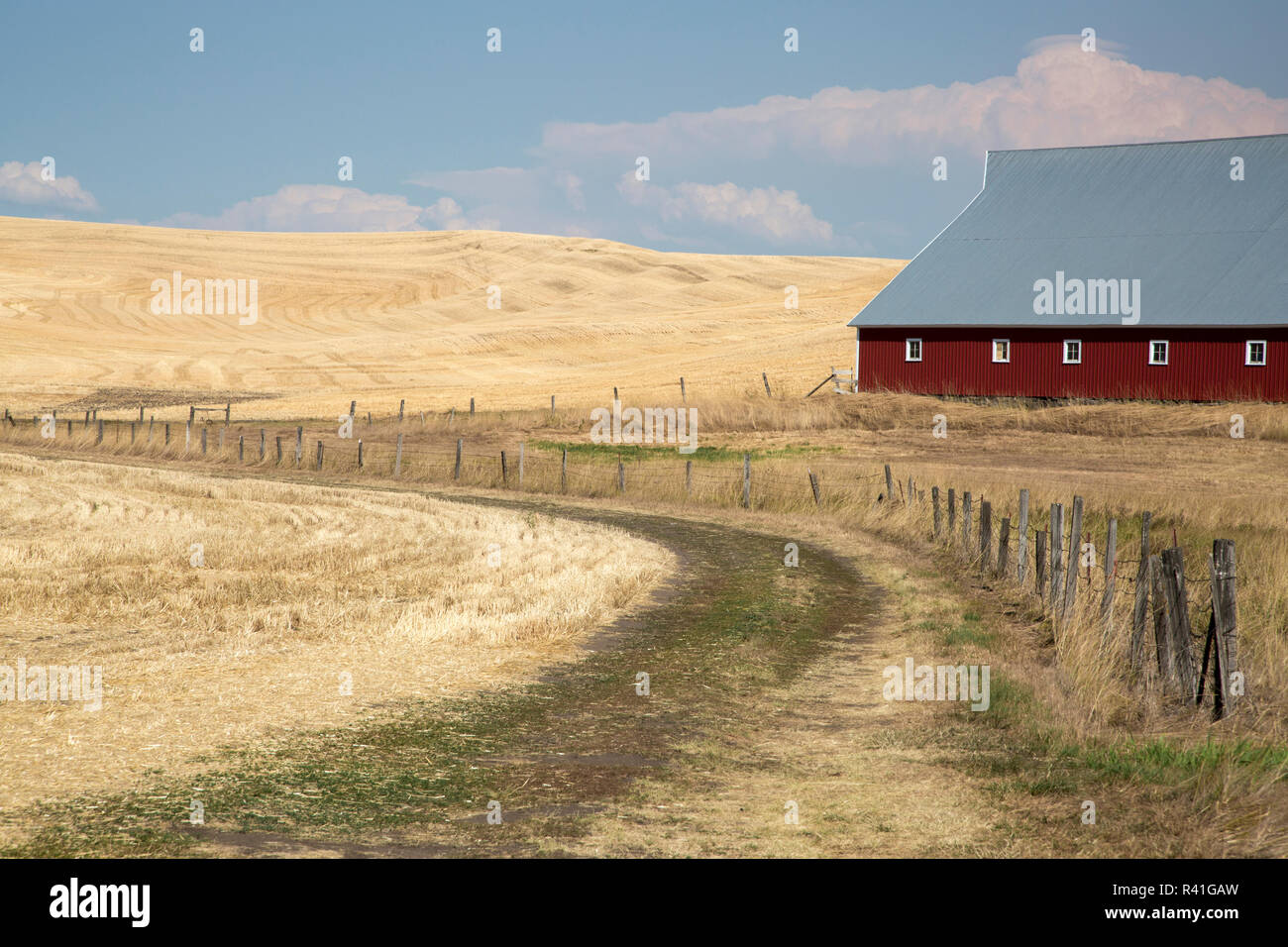 USA, Palouse, Washington State. Red barn and wheat in the Palouse ...
