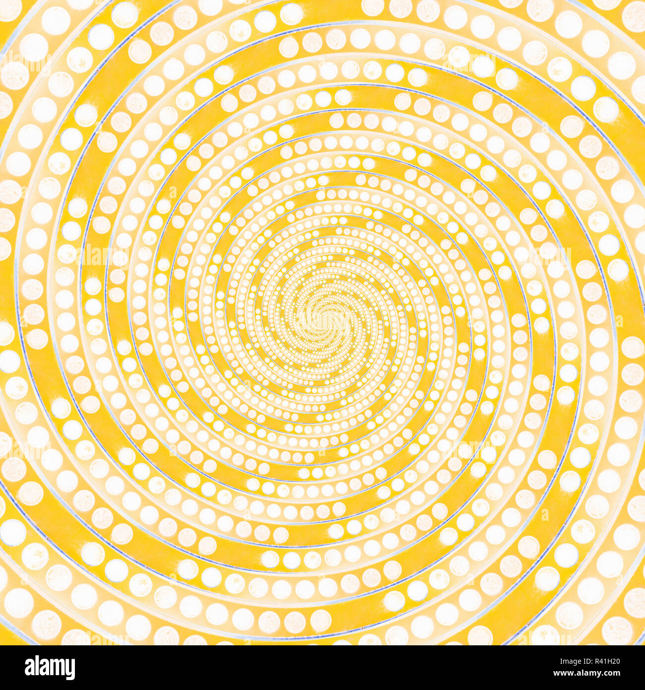Snail Shell Circular Pattern High Resolution Stock Photography and ...