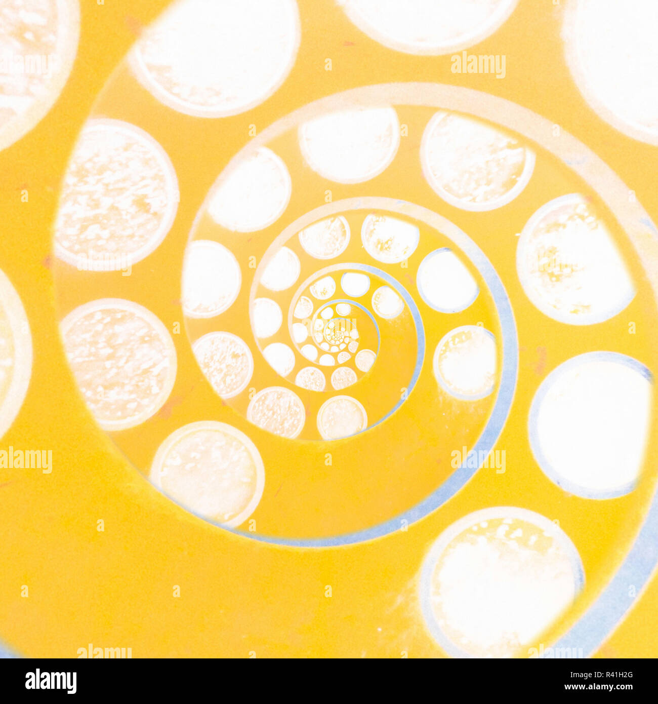 Snail Shell Circular Pattern High Resolution Stock Photography and ...