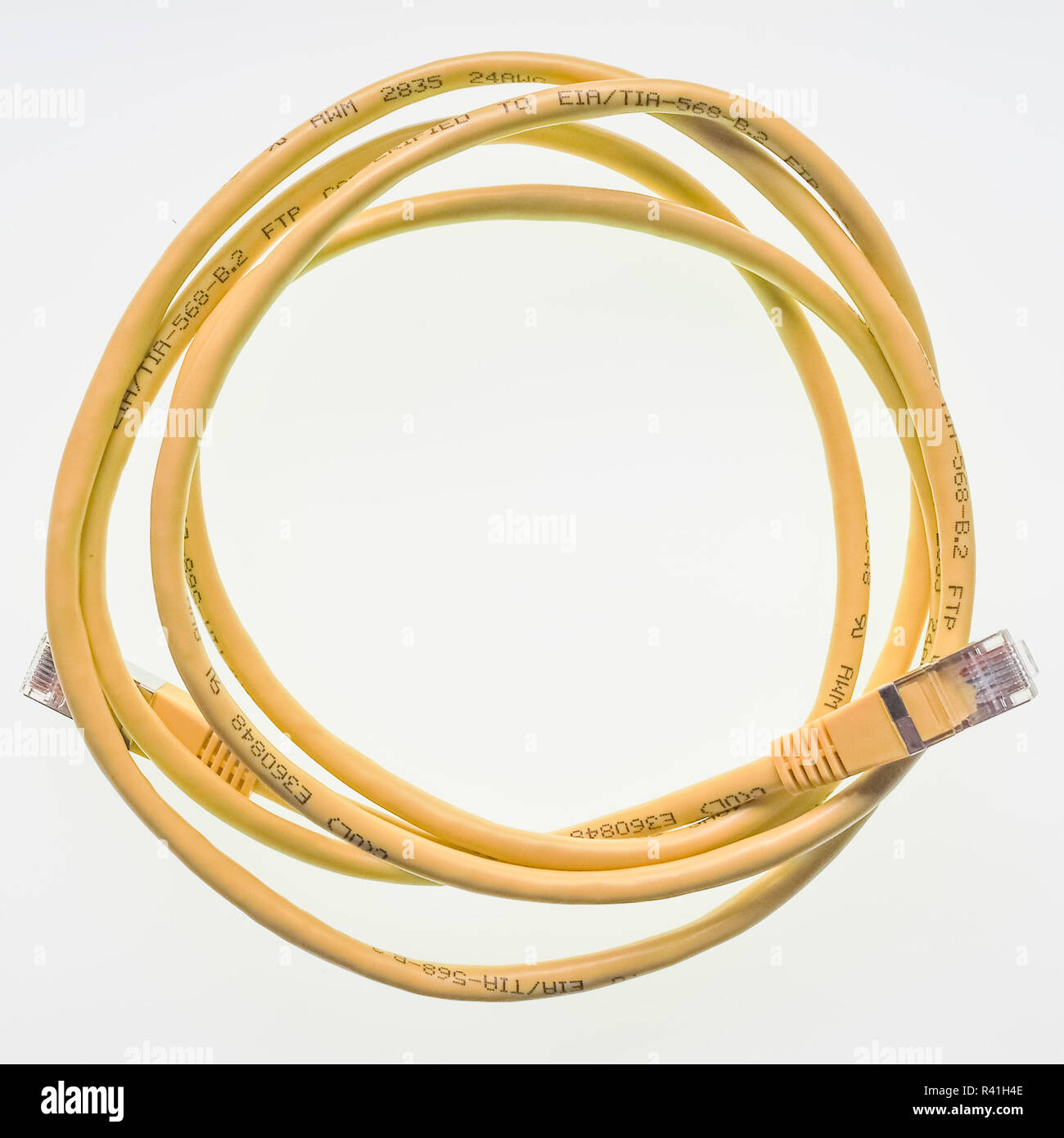 LAN cable with RJ45 plug Stock Photo - Alamy