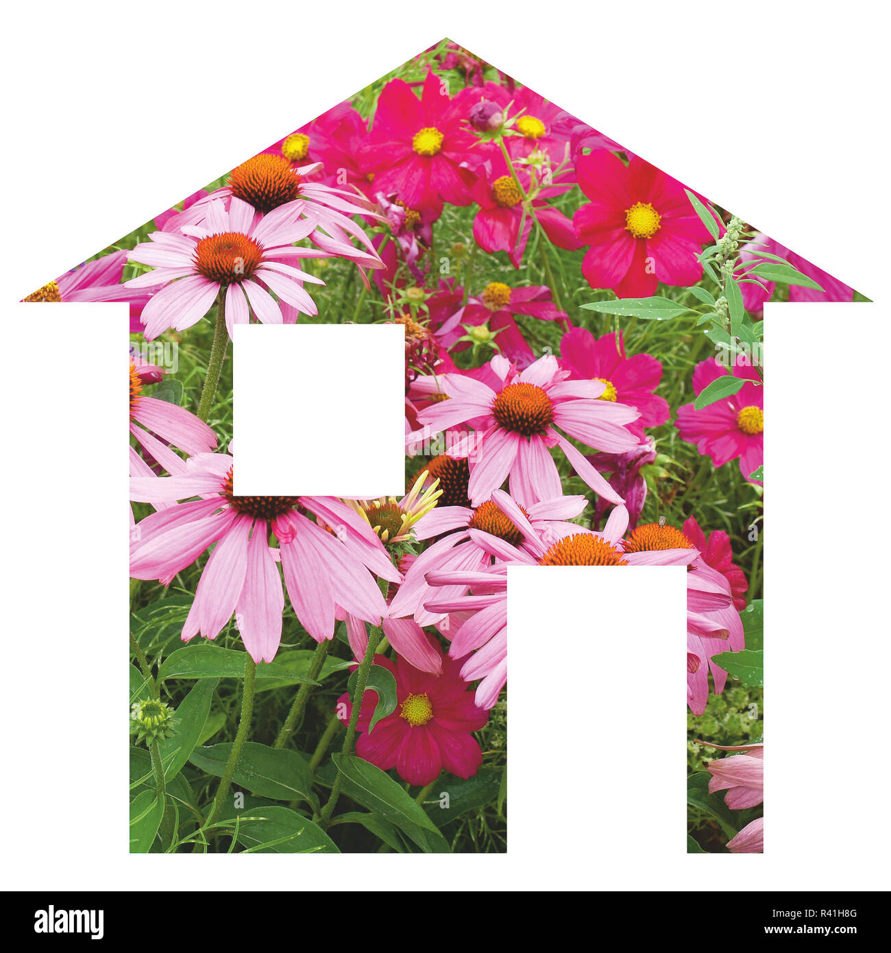 Live house plant hi-res stock photography and images - Alamy