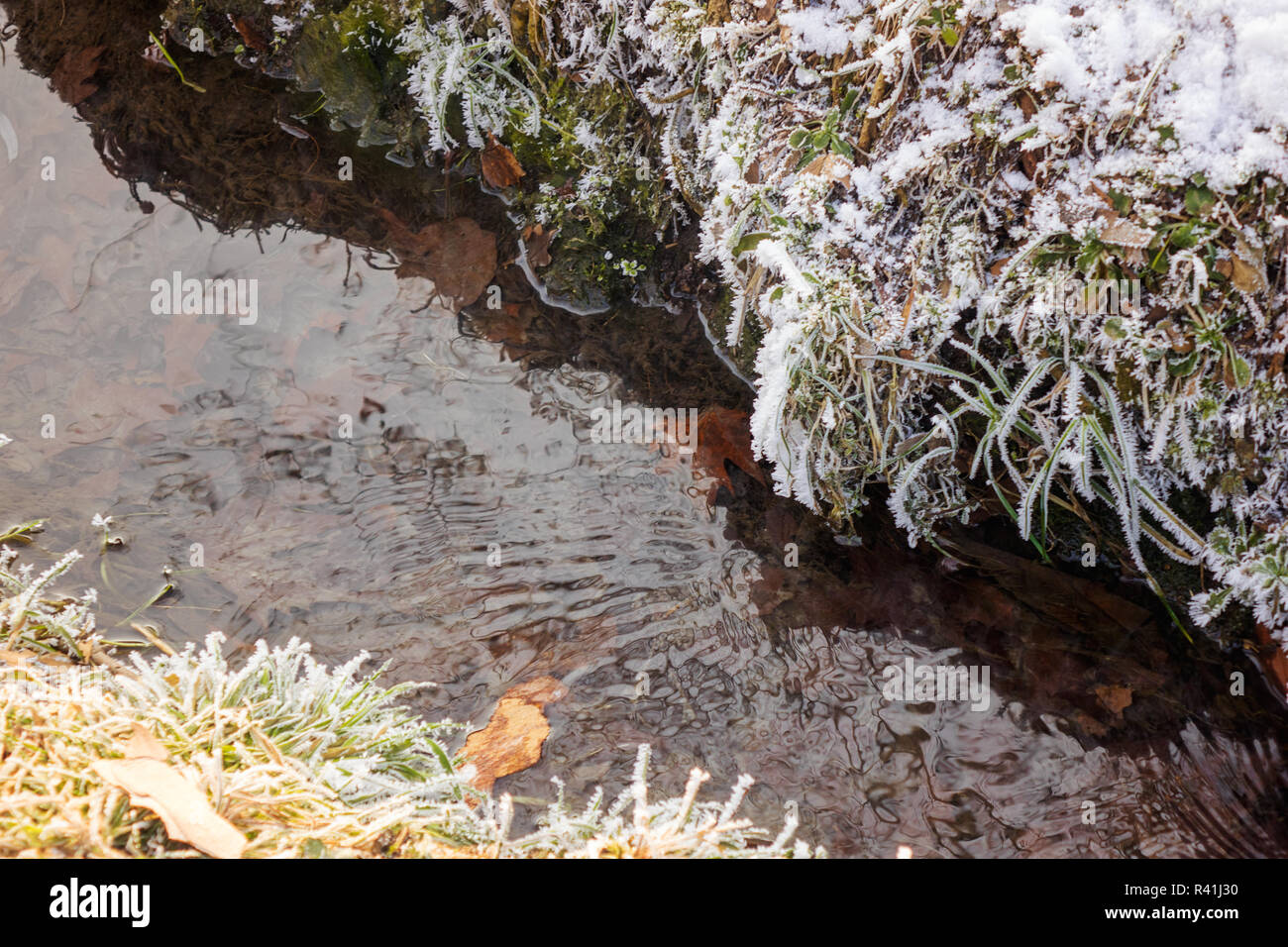 A small stream in the winter environment Stock Photo - Alamy