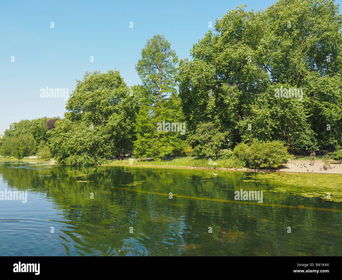 St James Park in London Stock Photo - Alamy