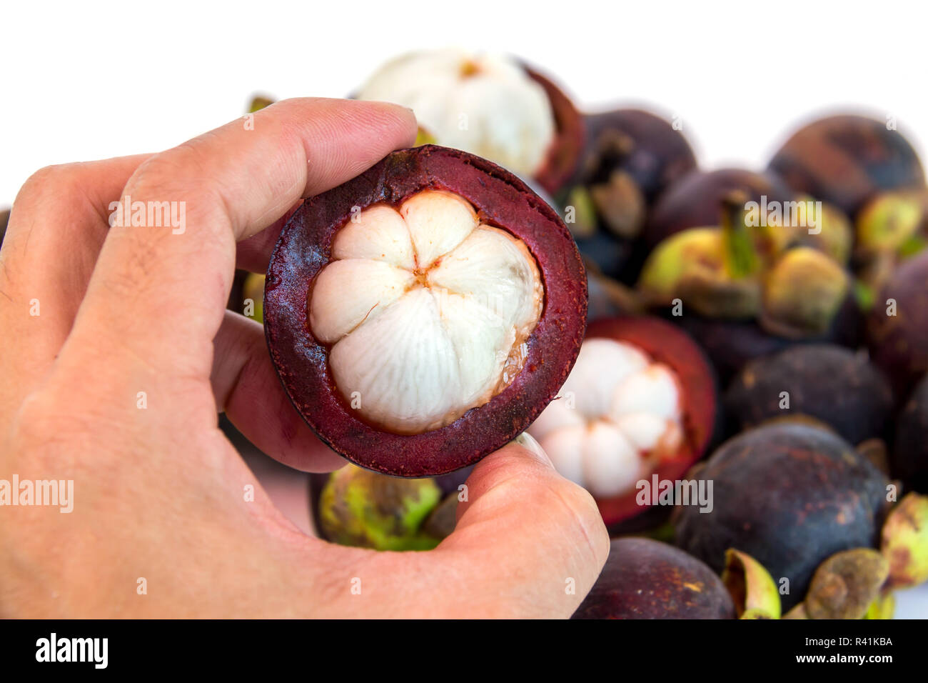 Mangosteen peel in hand isolated on whith background Stock Photo - Alamy
