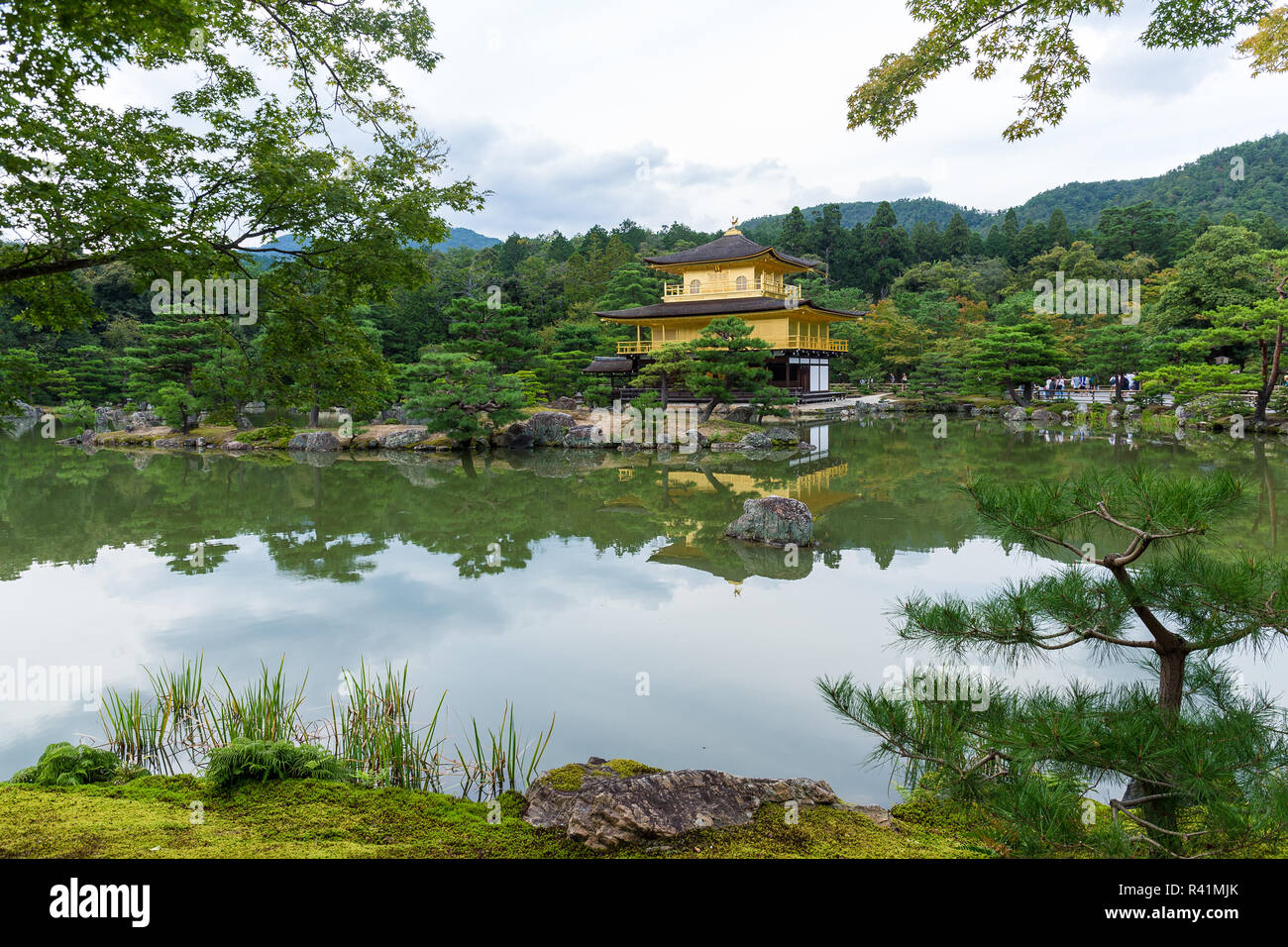 Temple of the Golden Pavilion Stock Photo - Alamy