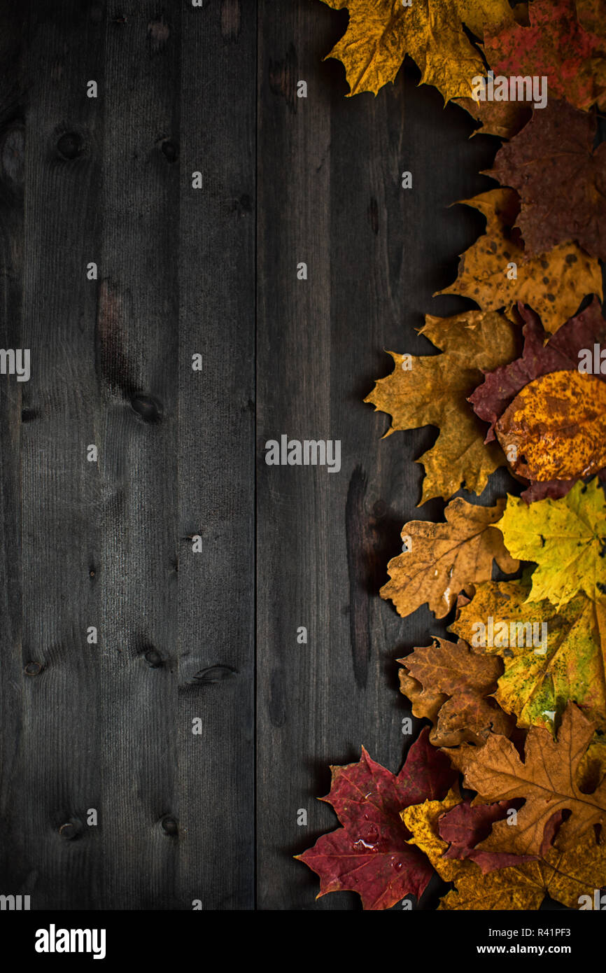 Wood autumn background Stock Photo - Alamy