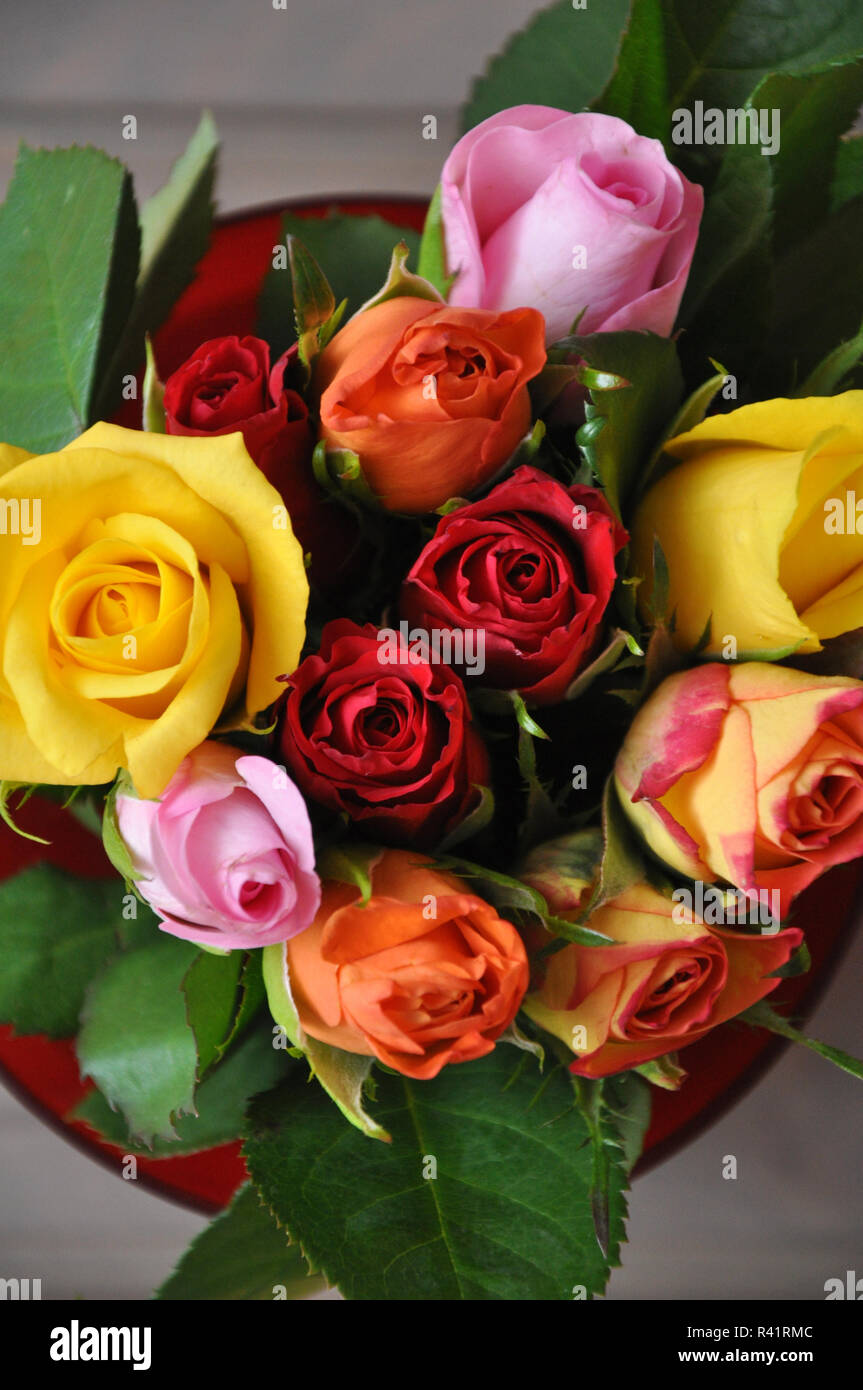 Alloy petals hi-res stock photography and images - Alamy