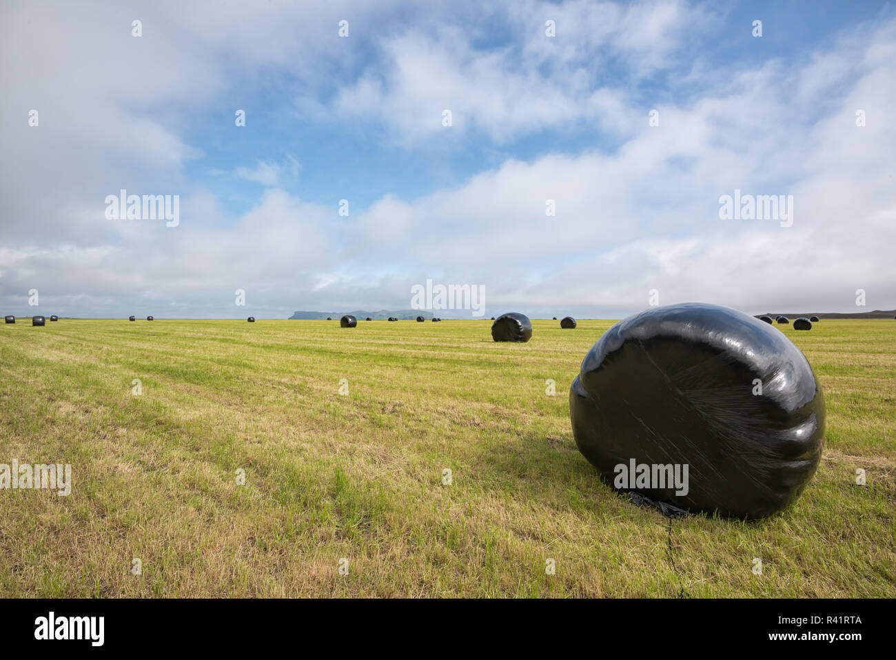 Hay harvest iceland europe hi-res stock photography and images - Alamy