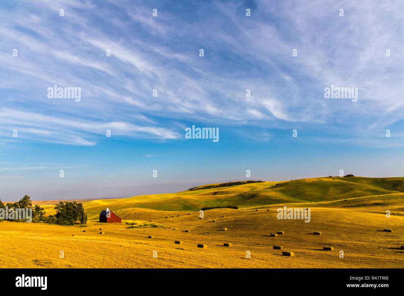 Washington state farm hi-res stock photography and images - Alamy