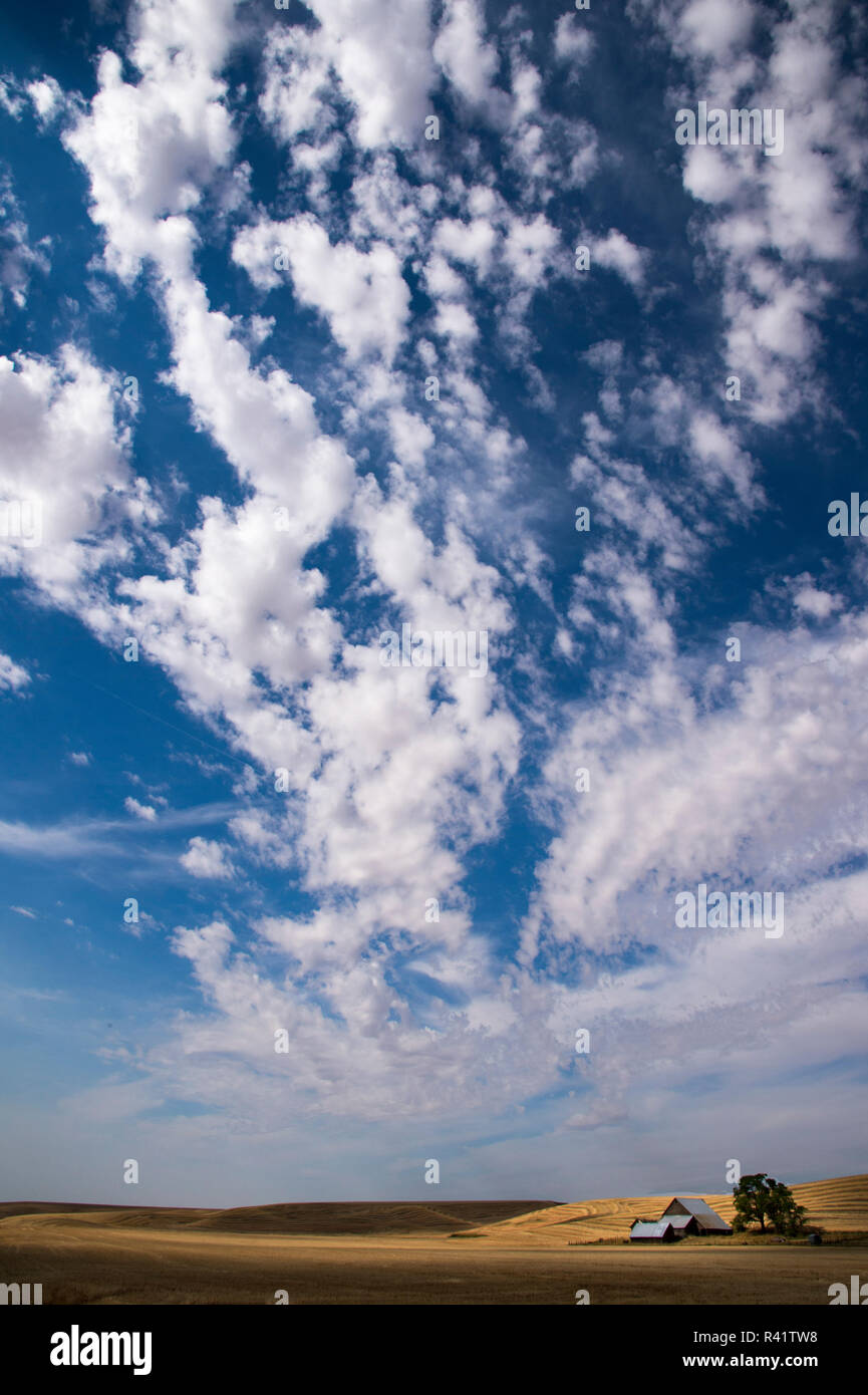 Washington state farming hi-res stock photography and images - Alamy
