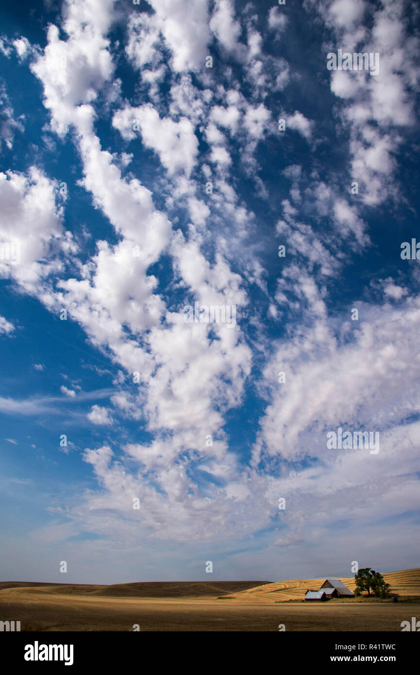 Washington state farming hi-res stock photography and images - Alamy