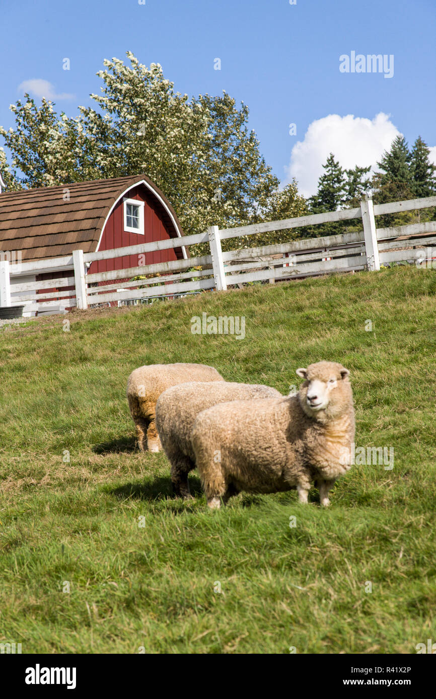 The farm of bellevue hi-res stock photography and images - Alamy