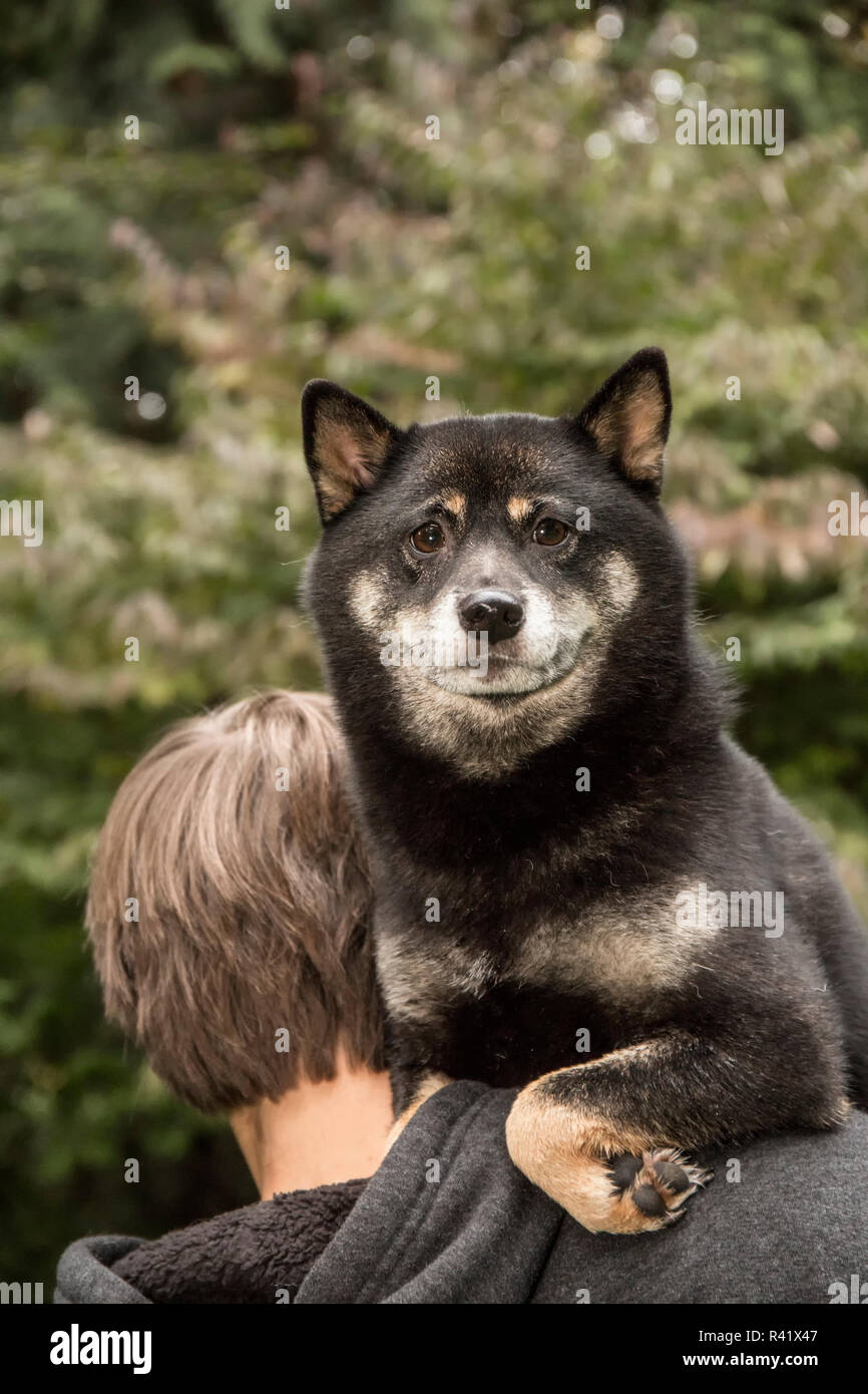 Portrait 20 year old man hi-res stock photography and images - Alamy