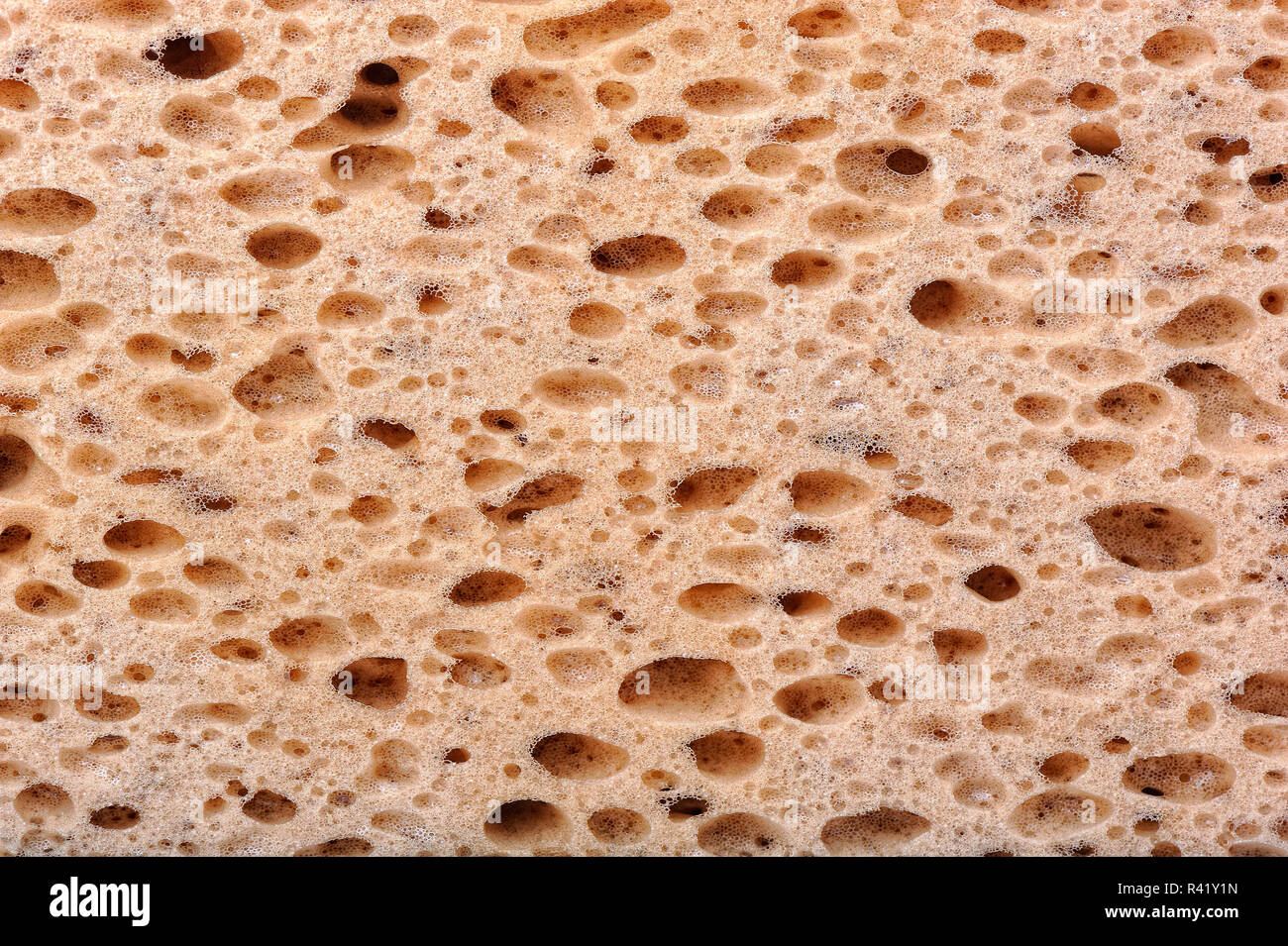 Sponge texture closeup background Stock Photo - Alamy