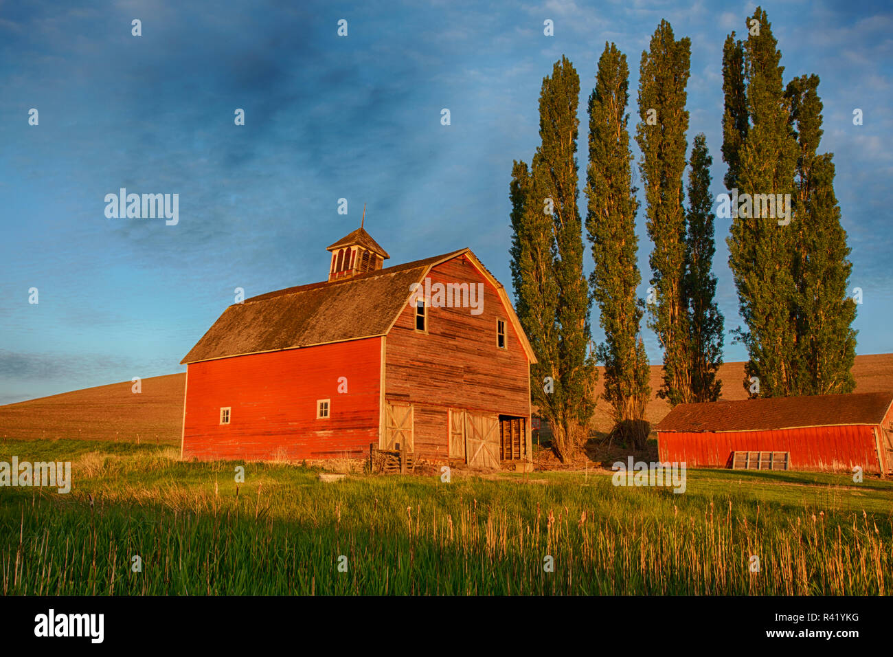 USA, Washington State, Red Barn in Spring Stock Photo - Alamy