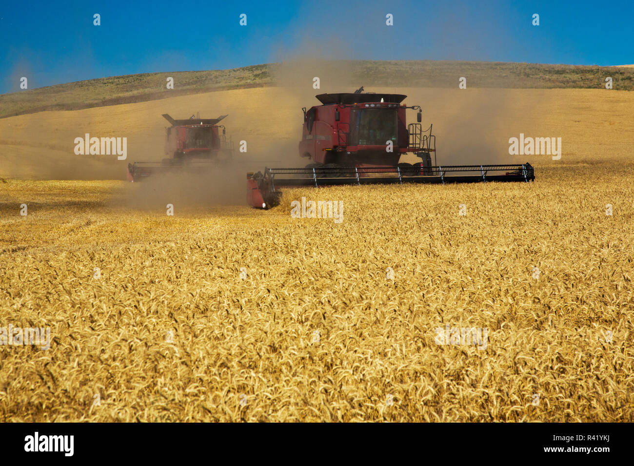 USA, Washington State, Palouse Region, Combines Harvesting Wheat Stock ...