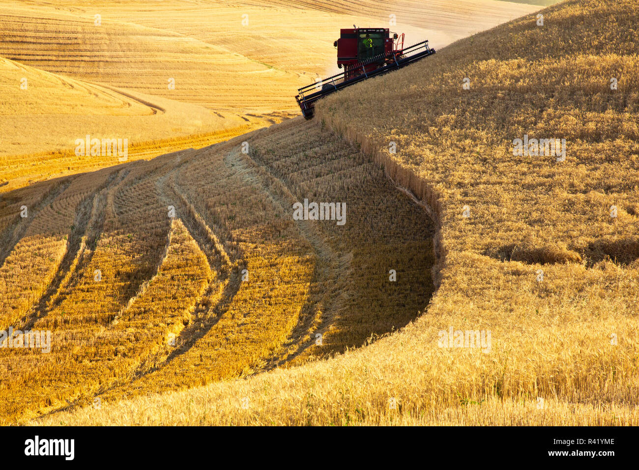 USA, Washington State, Palouse Region, Wheat Harvest in the Deep Bowls ...