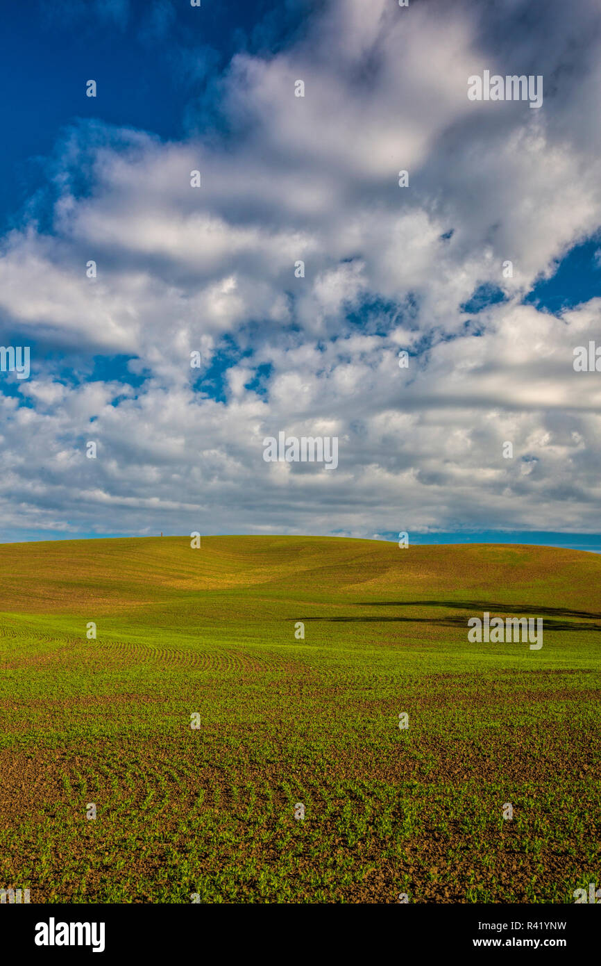Fallow cropland hi-res stock photography and images - Alamy